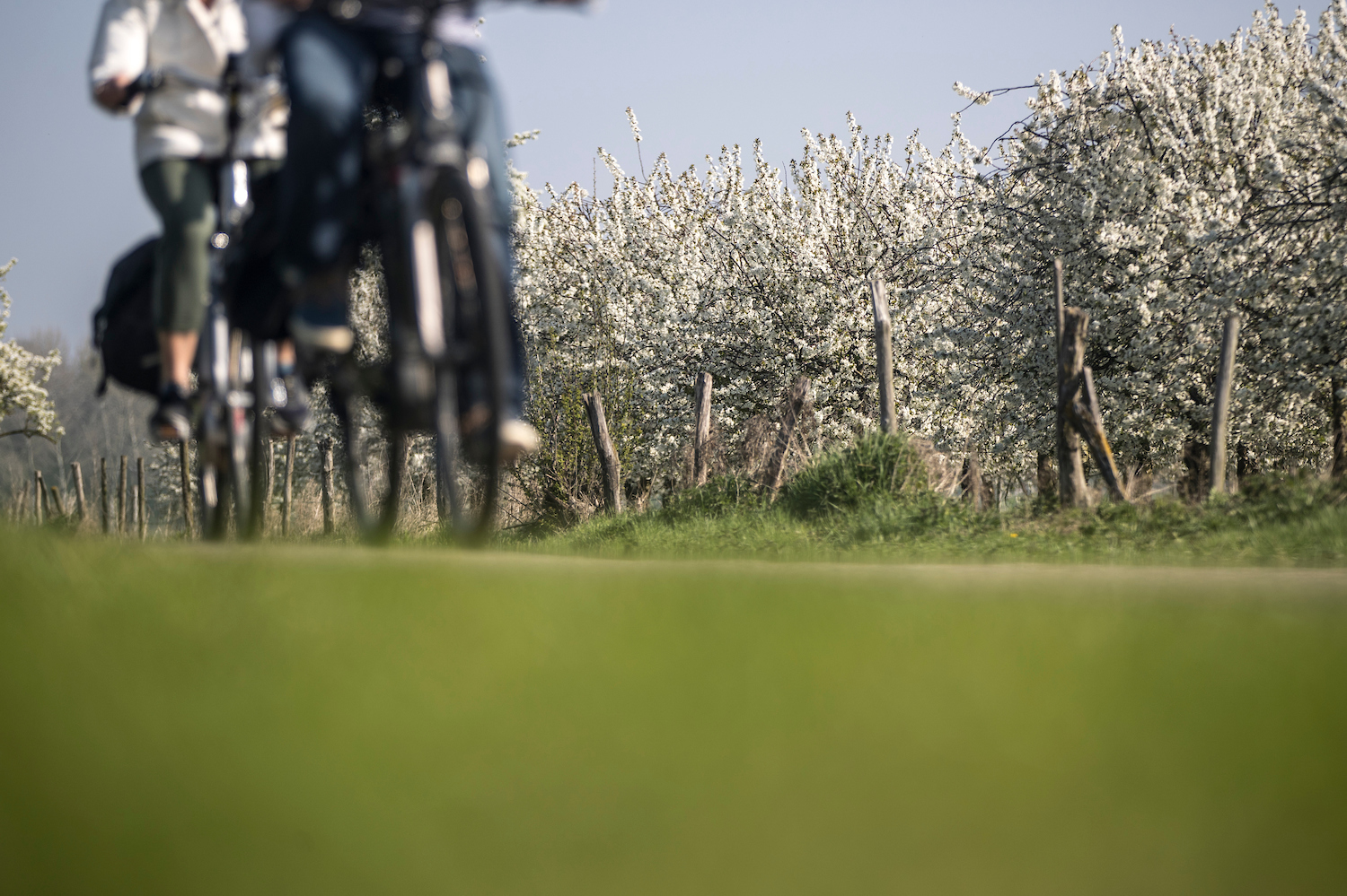 Werkwijze - Cycling Evers